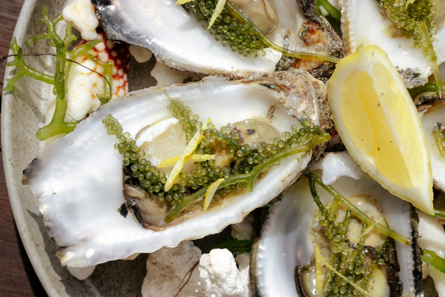 A Day in the Life of BASK Beach Club: Soaking Up the Sun, Sea and ...